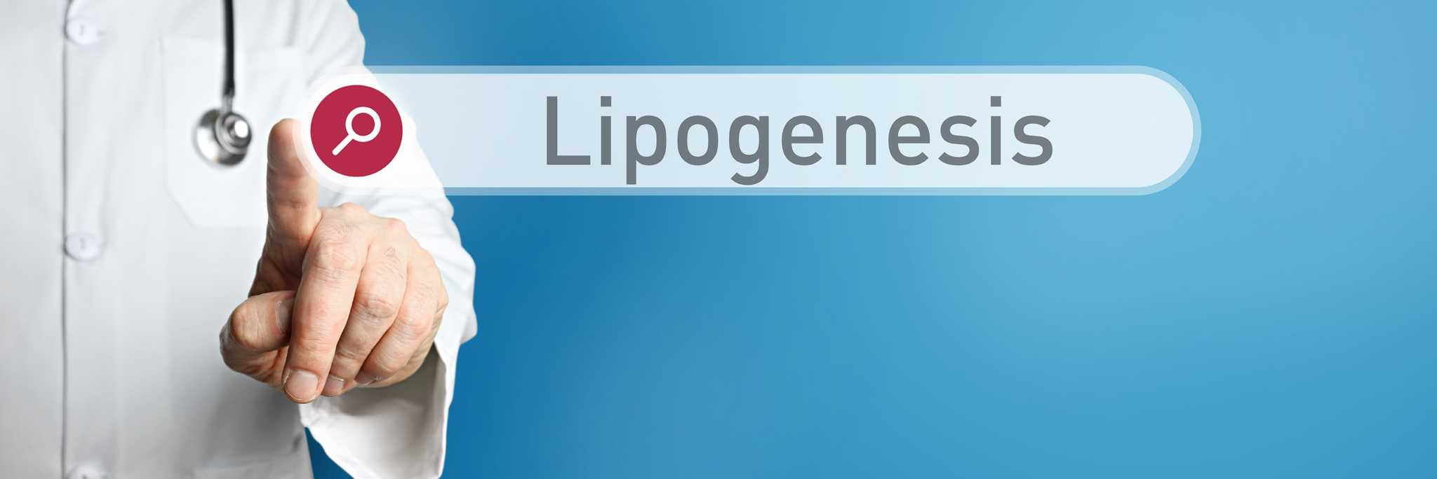 Comprendre la Lipogenèse : Le Mécanisme de Stockage des Graisses dans ...