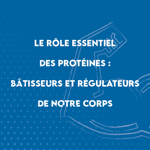 Le Rôle Essentiel des Protéines : Bâtisseurs et Régulateurs de Notre Corps